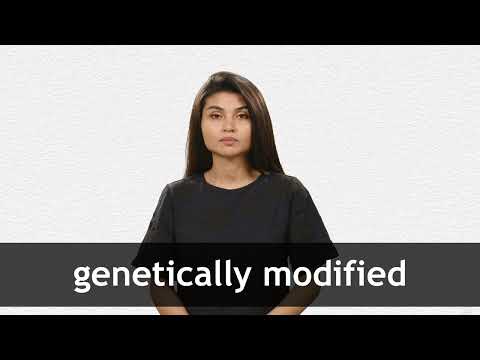 How to pronounce GENETICALLY MODIFIED in American English
