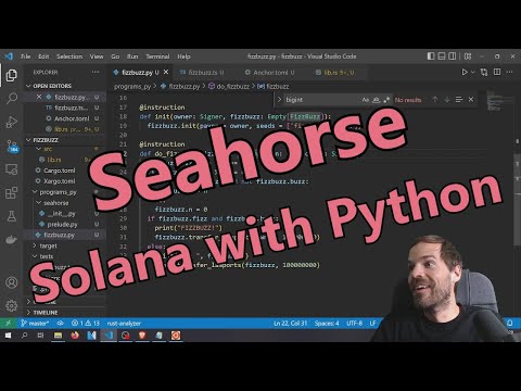 PythonでSeahorseを使ってSolanaプログラムを簡単に記述する方法 [2022年最新] - 動画要約 - Glarity