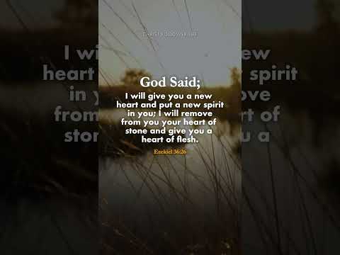 Bible Verse for Today ✝️ A Prayer for a New Heart #bible #jesuschrist #godsays #prayer #trustgod