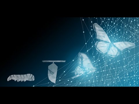 An introduction to portfolio management - the theory and in practice