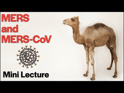 MERS and MERS-CoV