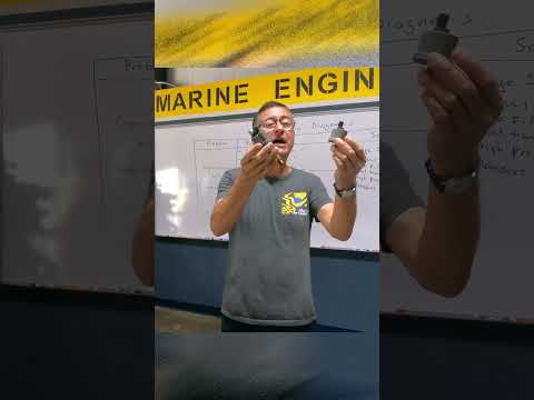 Oil Pressure Sensor and Oil Pressure Switch