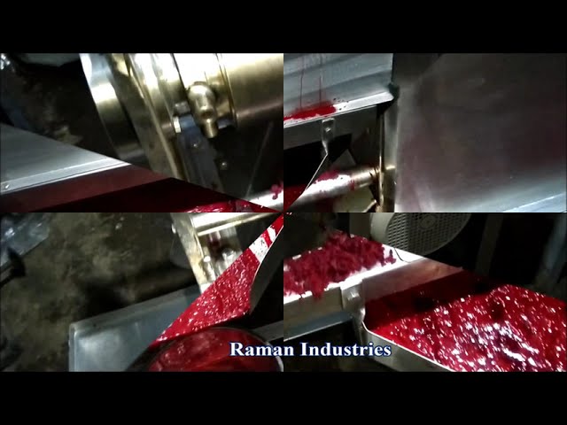 Pulp Extraction Machineries - Mini Fruit Pulper Manufacturer from New Delhi