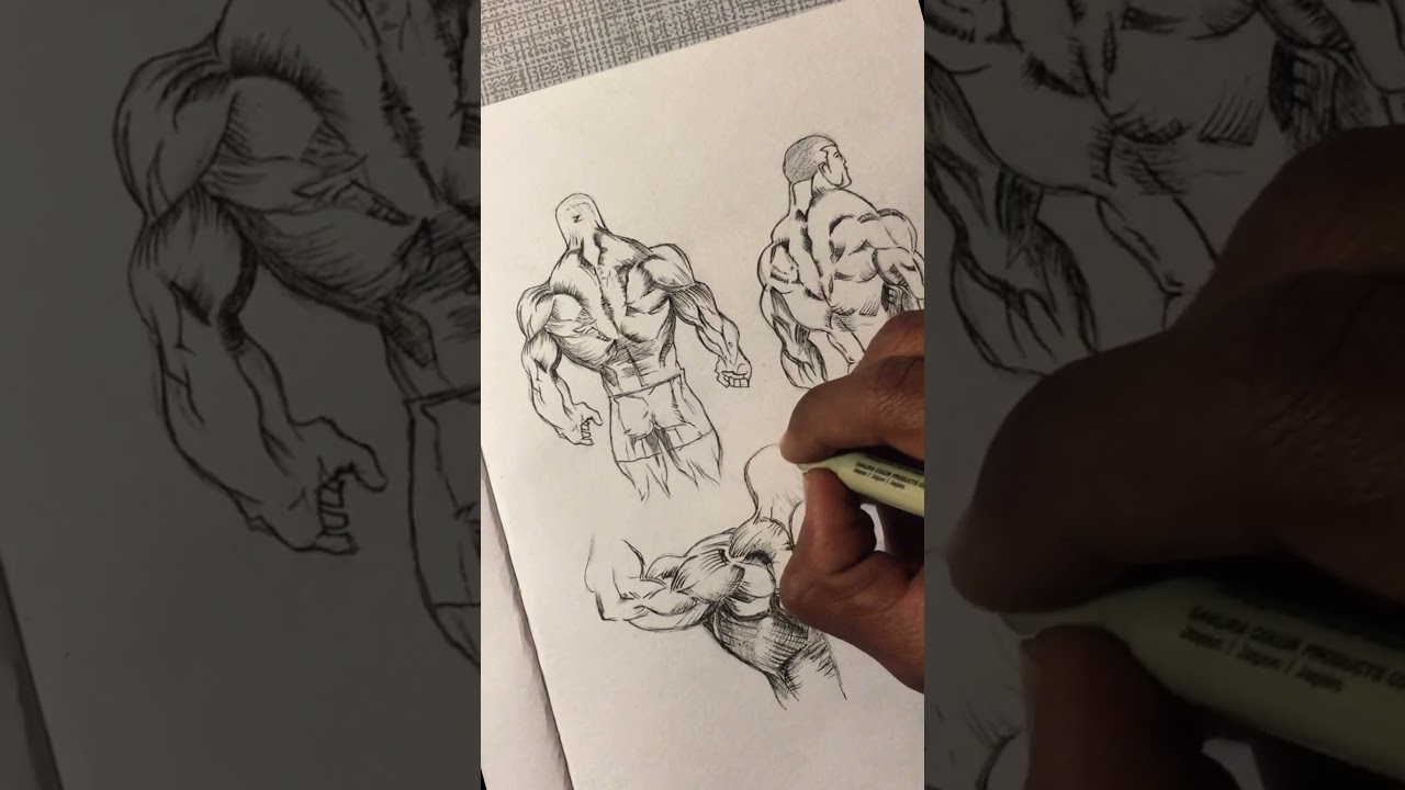 Epic Back Muscle Drawing 💪 | Anatomy Sketch in 23s #shorts