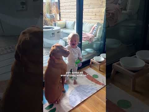 Neglected Senior Dog Learns To Be Part Of A Family | The Dodo