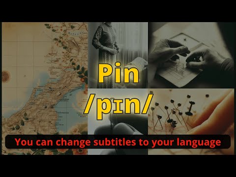 Pin meaning with 5 examples
