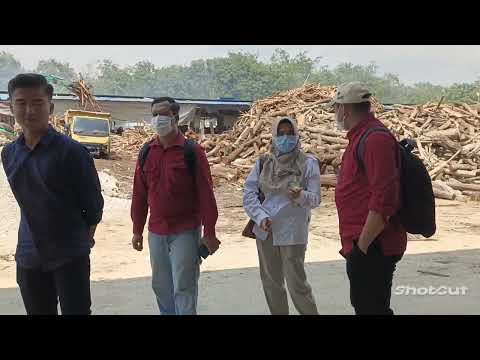 Penerapan Dan Penilaian Dokumen Lingkungan pada Sektor Industri Bahan Bakar Biomasa