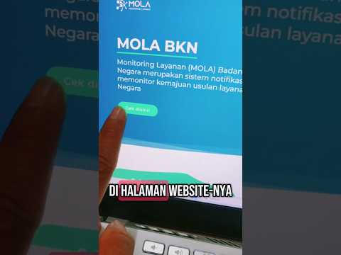 Cara Cek Status NIP PPPK 2024 || BKN