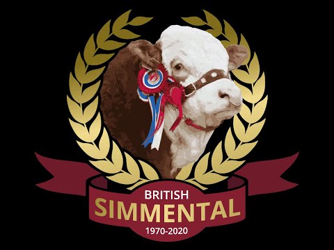 Simmental Sale at Stirling at 12 noon approx on Monday 5th May '25