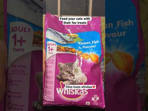 Best food for catsππ»β
#whiskas #reviews #catslover#catlife #shorts #youtuber #viral#cat #love