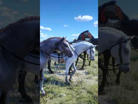 RDR2 : How to get all the Arabian Horses? #rdr2 #gaming #arthurmorgan #rdo #rockstar