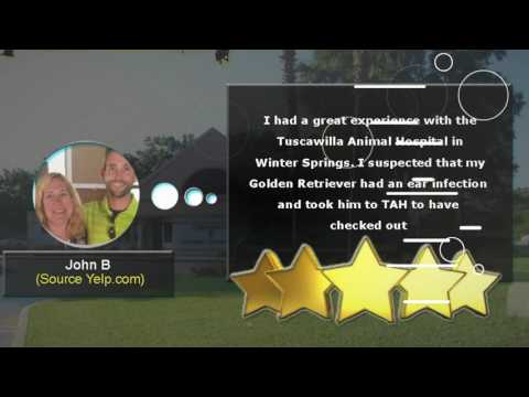 Tuscawilla Animal Hospital - REVIEWS - Orlando FL - Pet Emergency
