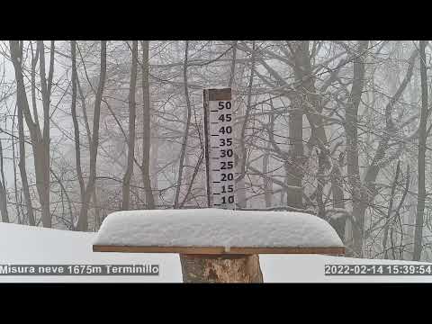 Neve Terminillo Live