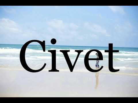 How To Pronounce Civet🌈🌈🌈🌈🌈🌈Pronunciation Of Civet