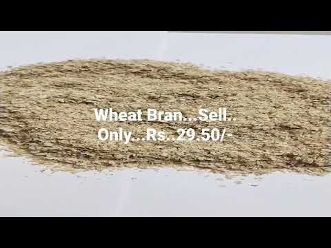 wheat Bran sell