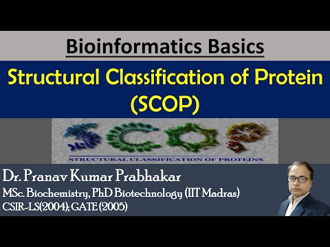 SCOP| Structural Classification of Proteins | What is scope database? | classifications in SCOP?