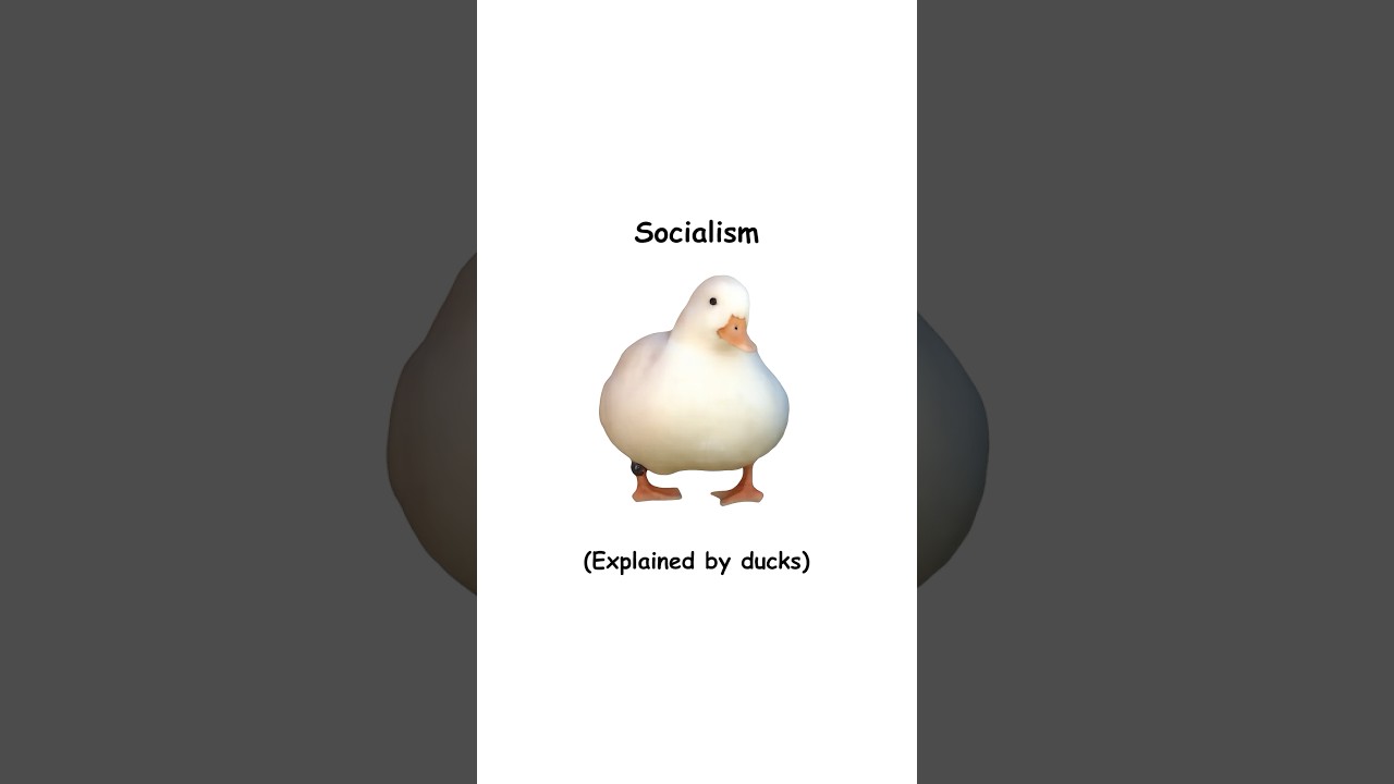 Socialism (explained by ducks)