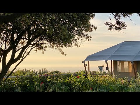 Camp de Rêves Glampsite - Tour