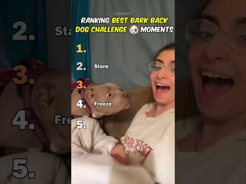 Ranking Best Bark Back Dog Challenge Moments