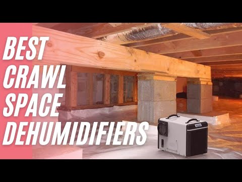 Best Crawl Space Dehumidifiers Review and Buying Guide