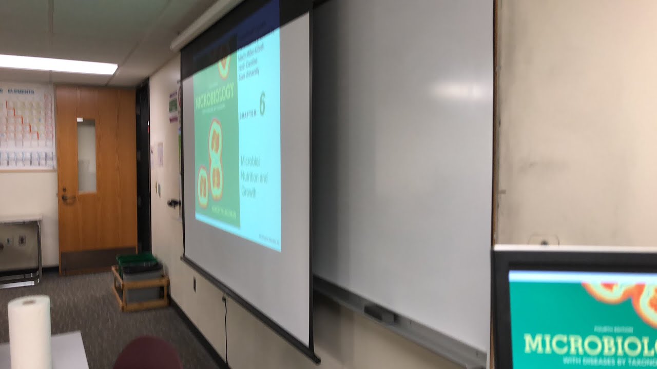 Microbiology 2420 review for exam 2