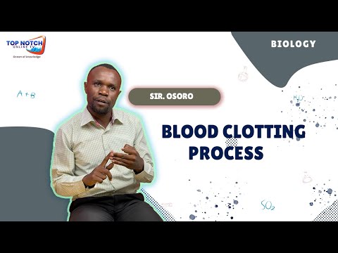 Blood Clotting Process by Sir Osoro