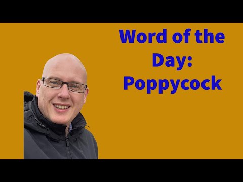 Word of the day: Poppycock