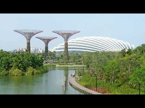 Ripple Obtains In-Principle Approval for Major Payments Institution License in Singapore