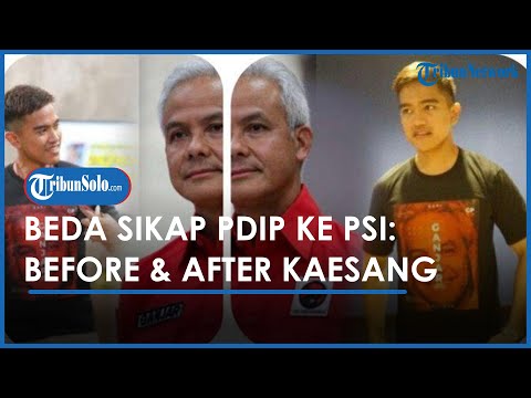 Perbedaan Sikap PDIP ke PSI Sebelum dan Sesudah Dipimpin Kaesang
