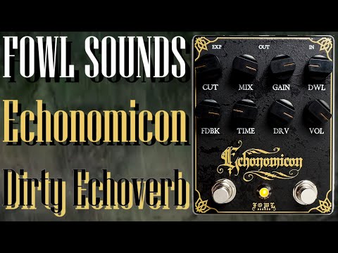 Fowl Sounds Echonomicon Lo Fi Delay Reverb Distortion 2020 - | Reverb