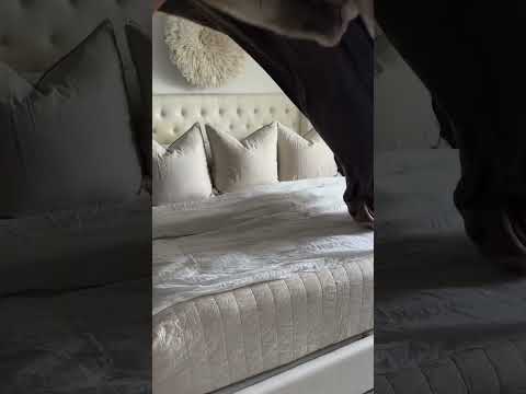 POV: You found the coziest faux fur blanket for your home upgrade.