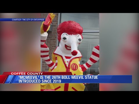 'McWeevil' is the 26th Boll Weevil to be introduced on Weevil Way Trail
