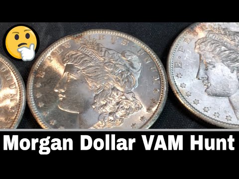 Morgan Dollar - Peace Dollar - Silver Purchase VAM Hunt