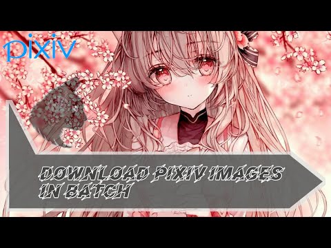 How to Download Pixiv Images in Batch