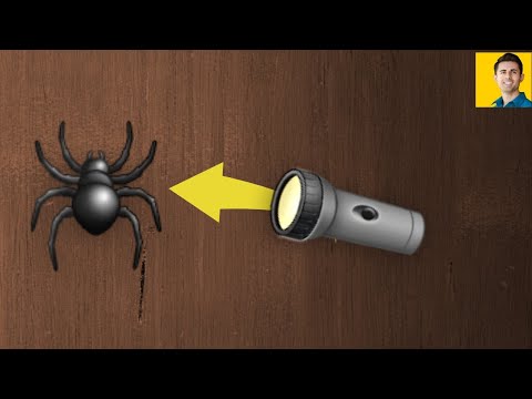 A Spider Can See LIDAR Laser Dots #shorts