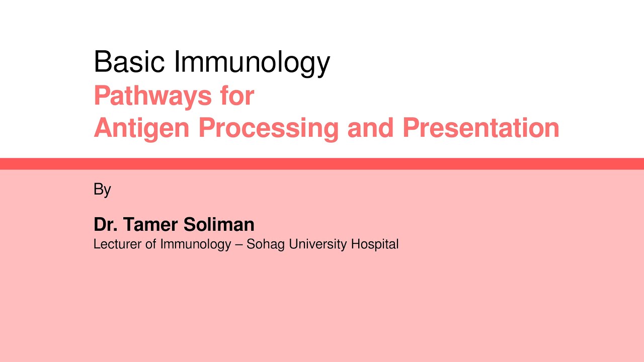 Dr. Tamer Soliman | Basic Immunology - Pathways for Antigen Processing and Presentation