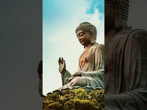gautam Buddha photo #trending #viral #buddha #gautam #photo