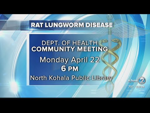 Department of Health confirms second rat lungworm disease case on Hawaii island in 2019