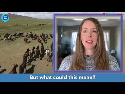 English Idioms : a Dark Horse