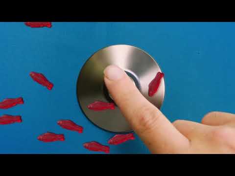 Catch More | FreshPass
