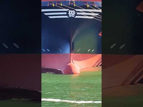 MSC 399 meters LOA