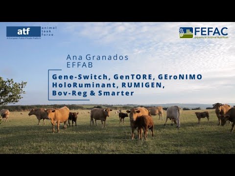 Gene-Switch, GenTORE, GEroNIMO, HoloRuminant, RUMIGEN, Bov-Reg & Smarter
