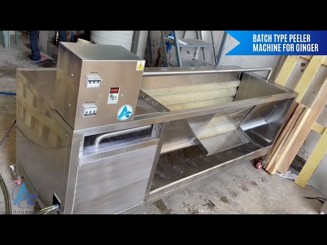 Vegetable And Fruit Washer Machine - Semi-Automatic Batch Type ...
