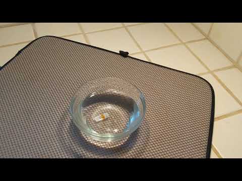 PillBot first ever wet test, Friday the 13th, 2020!!!