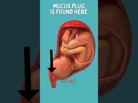 Mucus Plug Becomes Bloody Show #pregnancy