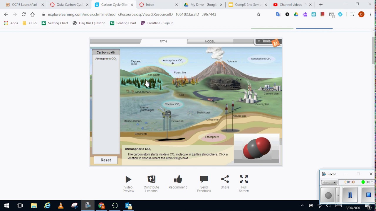 Carbon Cycle Gizmo