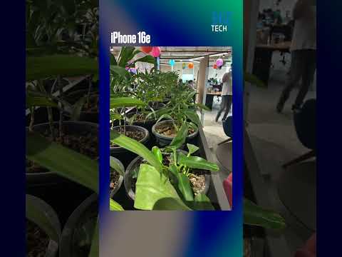 Pixel 9a OR iPhone 16e - Which Mobile Camera Clicks Best Pictures?