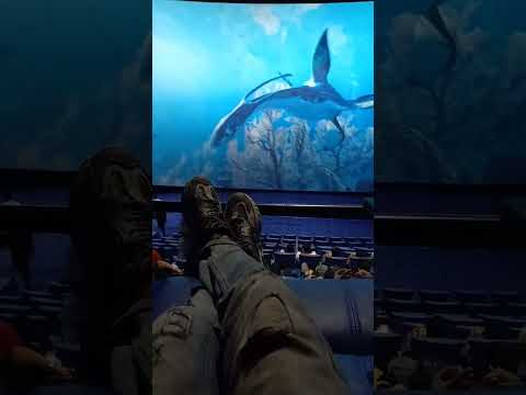 Avatar IMAX 🔥 #imax #avatar #theatre #cgi #vfx #avatar2
