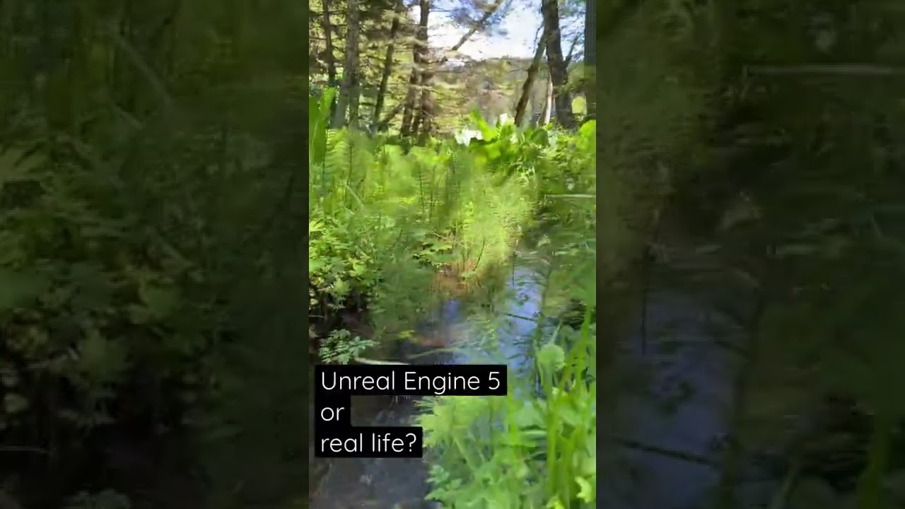 Unreal Engine 5 or real life? Is it nature or Nanite!?