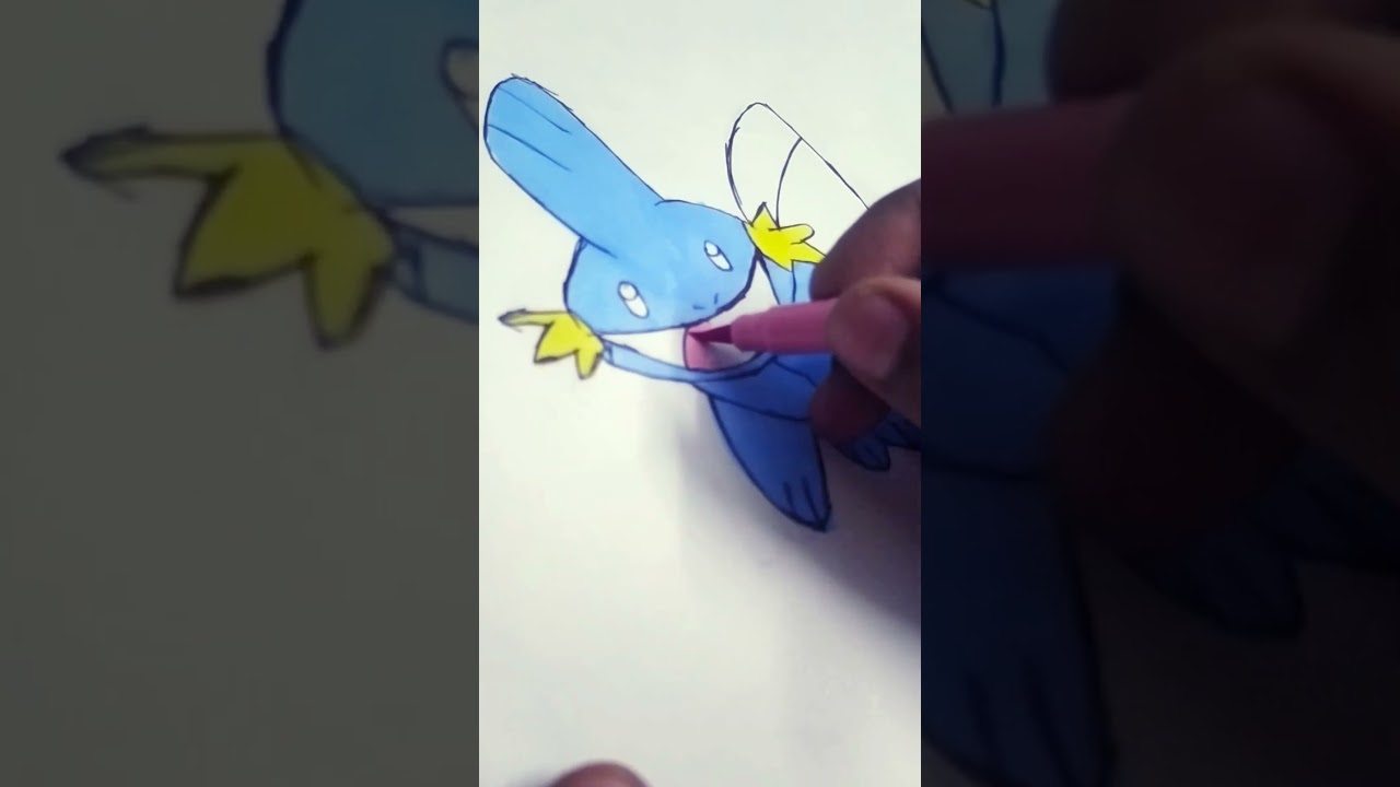 Mudkip #pokemon #drawing #pokemonforever